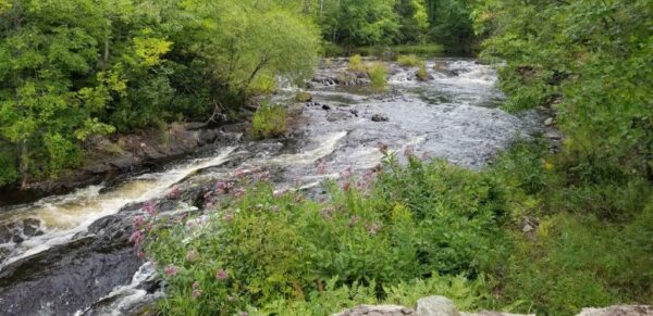 Kimball Town Park – Town of Kimball